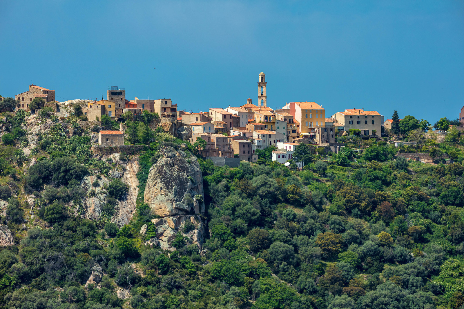 Montemaggiore | Robert Palomba Photographe sur Nice, région PACA et Corse